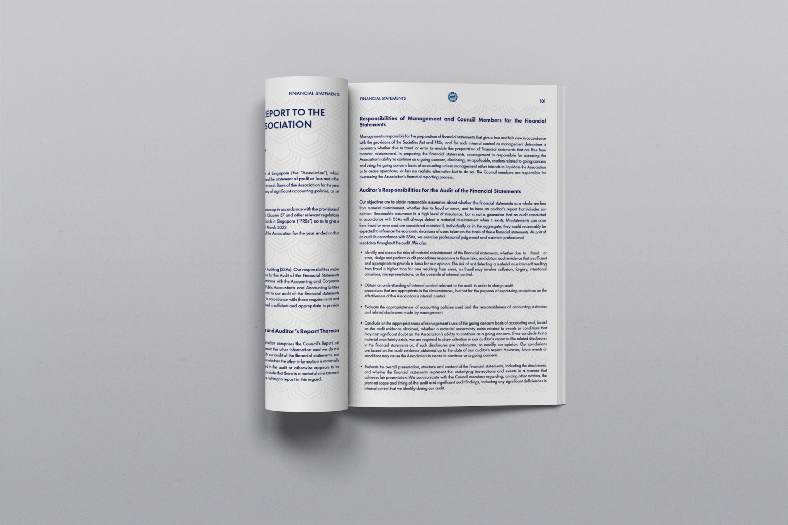 Graphic Design: FAS Annual Report - COCO CREATIVE STUDIO